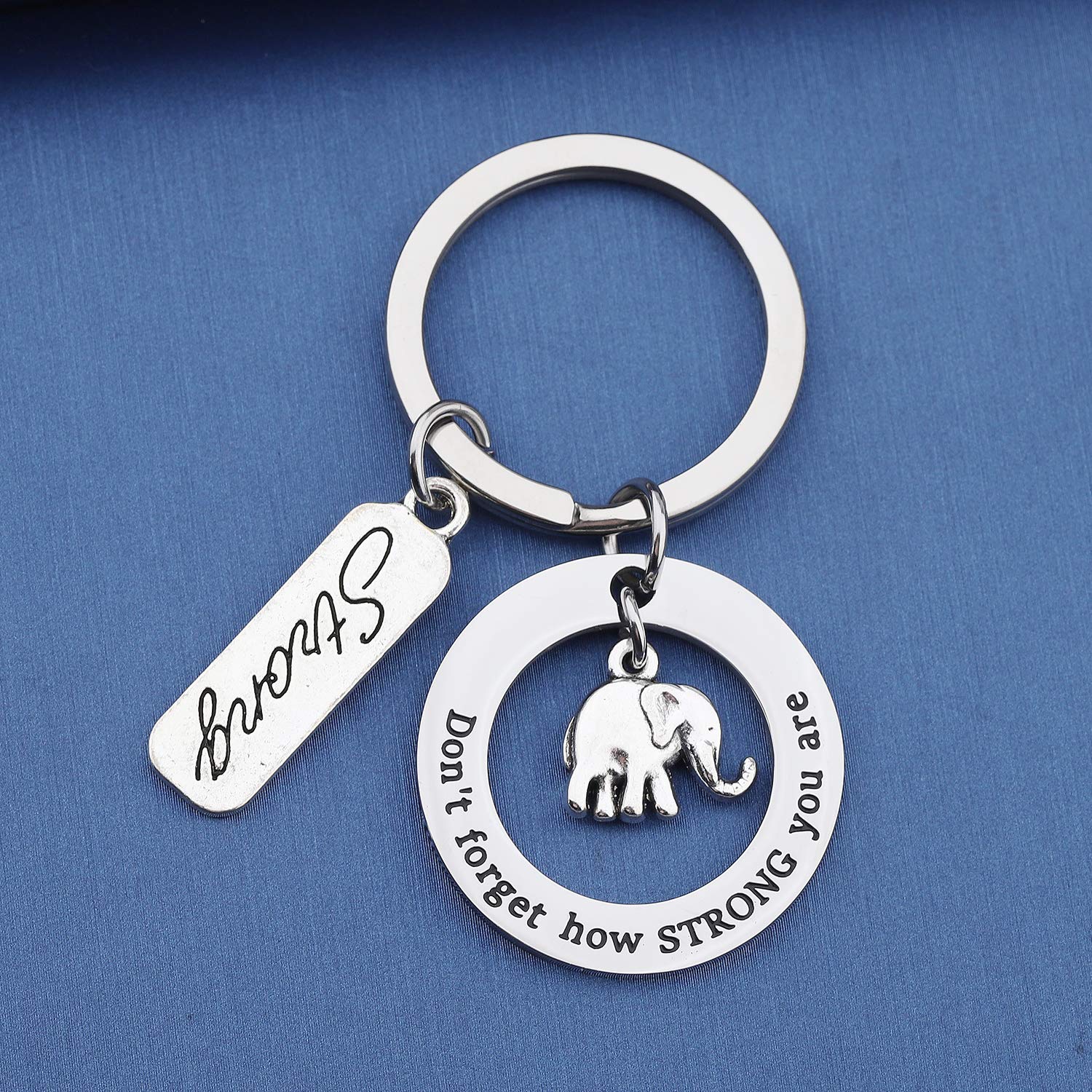 MYOSPARK Elephant Inspirational Keychain Gift For Elephant Lovers (STRONG Elephant Keychain-circle)