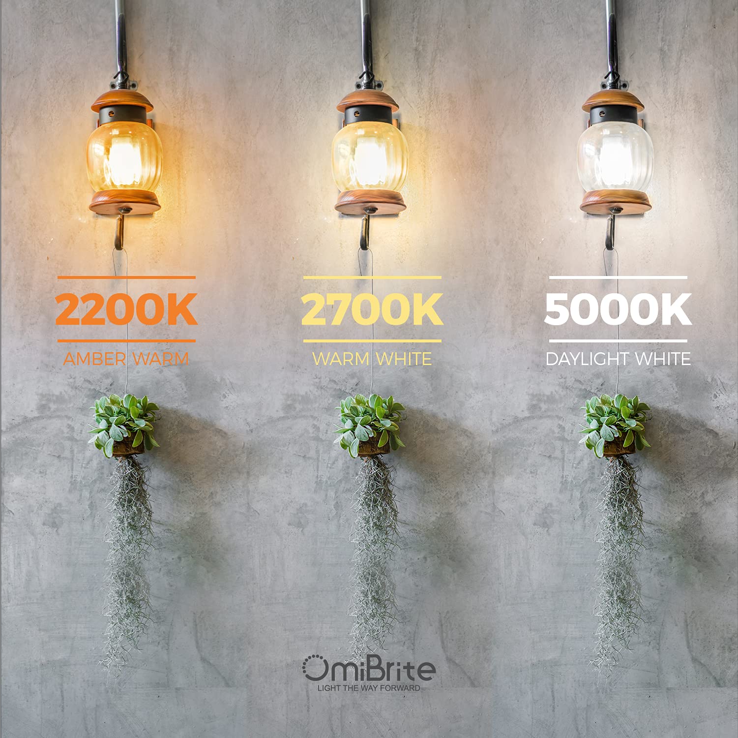 OmiBrite Dimmable Led Light Bulb, Vintage Edison Light Bulbs 60W Equivalent, Bright Daylight 2700K Incandescent Daylight Bulbs, CRI 90 Eye Protection, E26/E27 Base, ST64 (6 Pack)