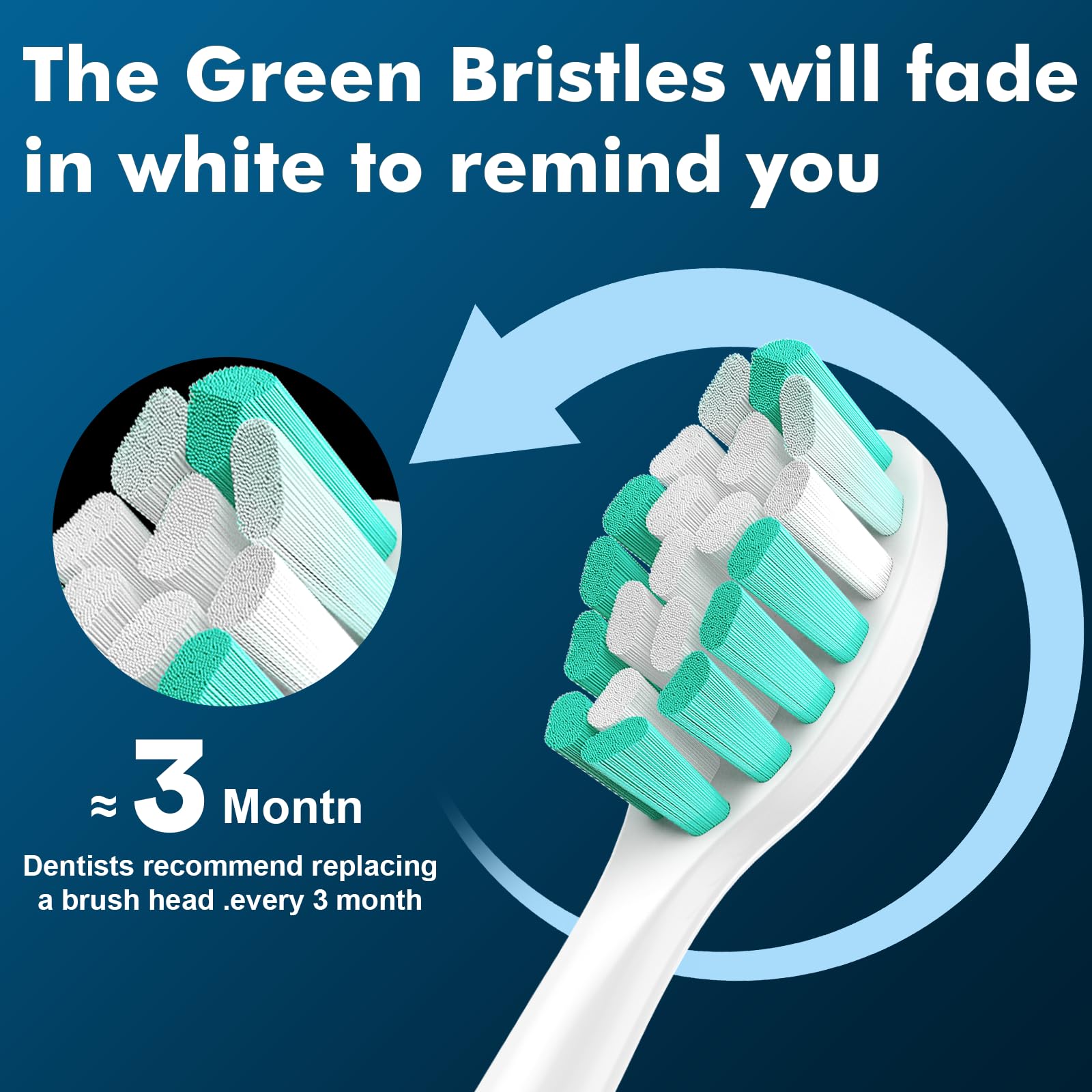 Toothbrush Replacement Heads for Philips Sonicare: Ofashu Electric Brush Head Compatible with DiamondClean Protectiveclean 2 Series C1 C2 W G2 4100 5100, White, 8 Packs