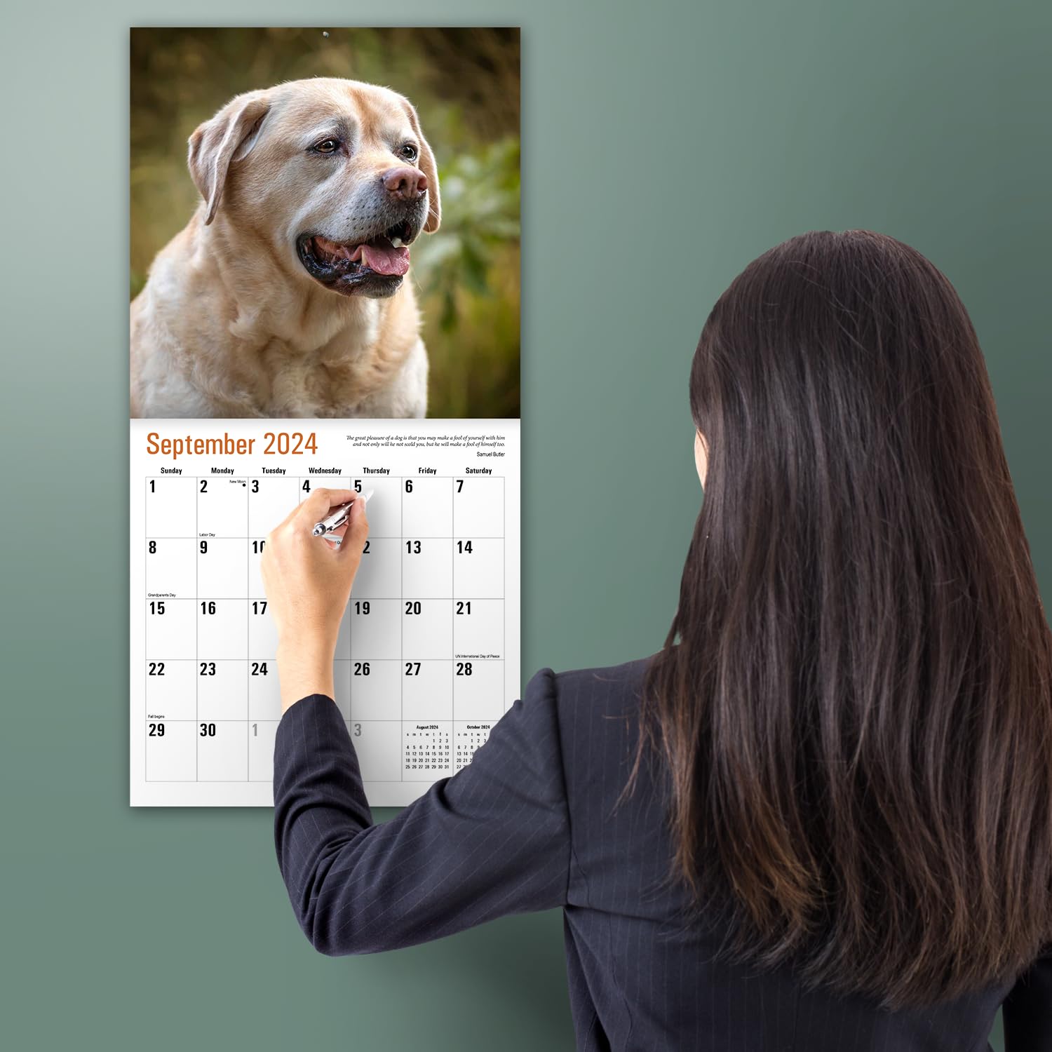 MICASA Yellow Labs 2024 Hangable Monthly Wall Calendar | 12" x 24" Open | Thick & Sturdy Paper | Giftable | Cute Dog | Golden Canine Perfection