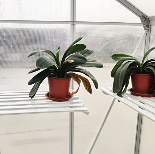 TPSHKE Greenhouse Shelves, 4-Pack 23.62x15 inch Heavy Duty Greenhouse Shelf Kits, White