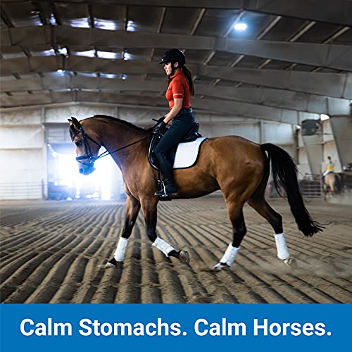 MagnaGard - Gastric Support Supplement for Horses | Relieves Ulcers, Calming Supplement, Magnesium & Other Vital Minerals | Powder, 4 Pound Bag, 30-Day Supply | by Eagle Equine