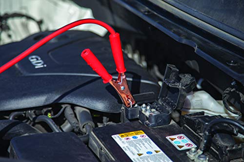 Lifeline AAA 4365AAA Destination Road, 68 Piece Emergency Car Tire Inflator, Jumper Cables, Headlamp, Warning Triangle and First Aid Kit