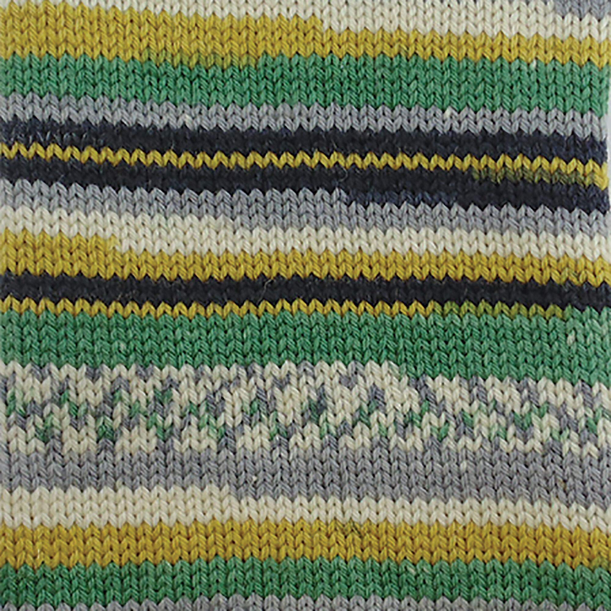 Patons Kroy Socks Yarn, 2-Pack, Greener Pastures