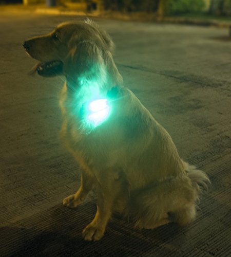 LED Safety Light (2 Pack) - Clip On Strobe/Running Lights for Runners, Dog, Bike, Walking, Boat, Kayak, Stroller and More - High Visibility Accessories for Your Reflective Gear, Bicycle, Green