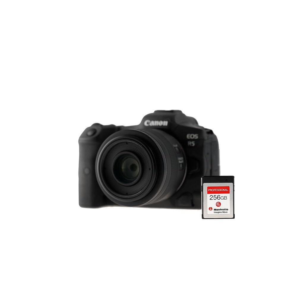 Manfrotto 256GB Professional Memory Card, PCIe 3.0, CFexpress Type B, for pro DSLRs and Advanced CSC Cameras