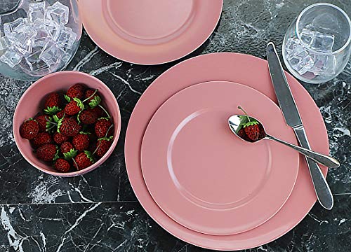Reston Lloyd Set Calypso Basics Melamine Dinner Plate, Set of 6, Pink