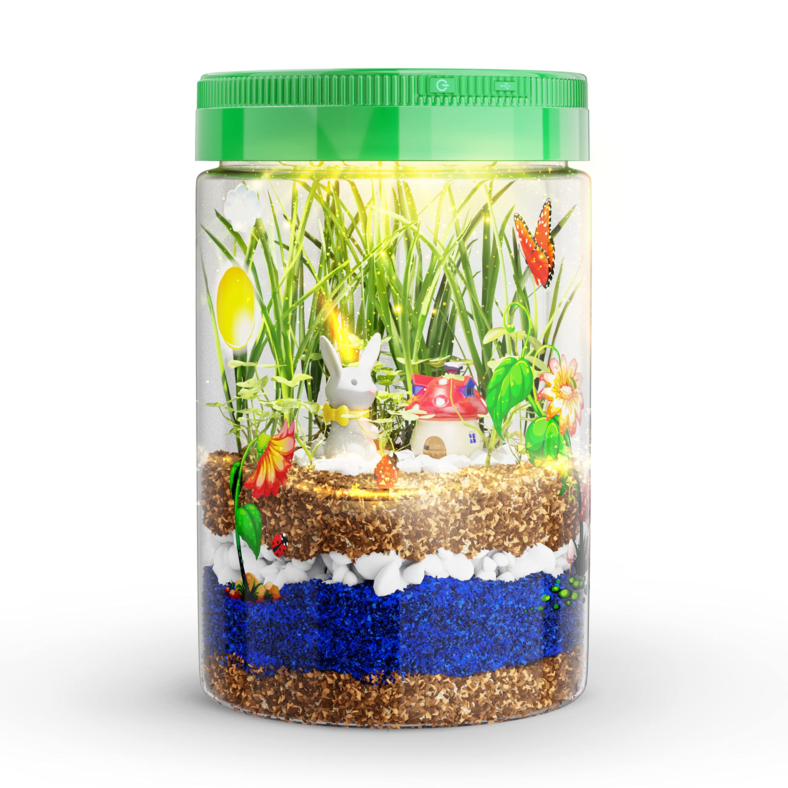 Light-Up Terrarium Kit for Kids (Old Version)