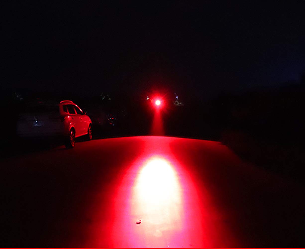 RaySoar 4 Pack Red Light Flashlight, 3 Modes Red LDE Flashlight Red Flashlight for Astronomy, Night Observation and Outdoor Activities
