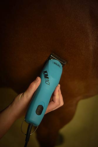 WAHL Professional Animal KM10 2-Speed Brushless Motor Pet, Dog, and Horse Clipper Kit - Turquoise