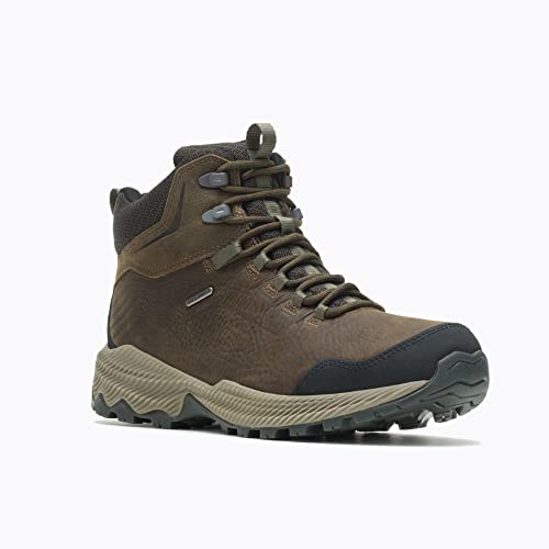 Merrell mens Forestbound Mid Wp Hiking Boot, Cloudy, 10 US