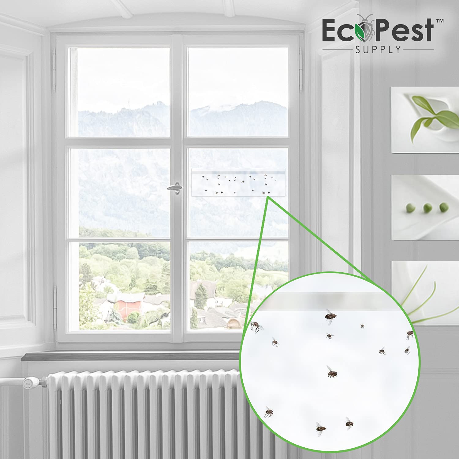 Window Fly Traps β 12 Pack | Transparent Sticky Fly Trap for Windows | Discrete, Extra Large Insect Glue Trap and Indoor Bug Catcher for House Flies and Other Flying Insects