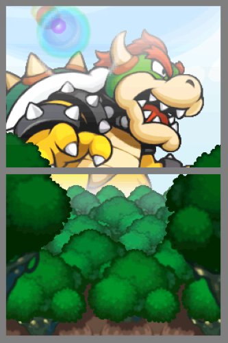 Mario & Luigi Bowser's Inside Story