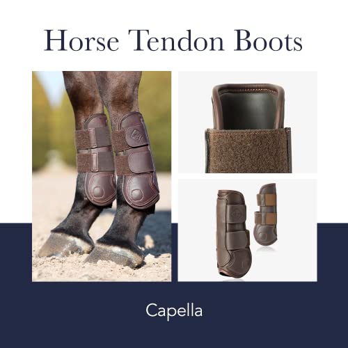LeMieux Capella Tendon Boots Brown