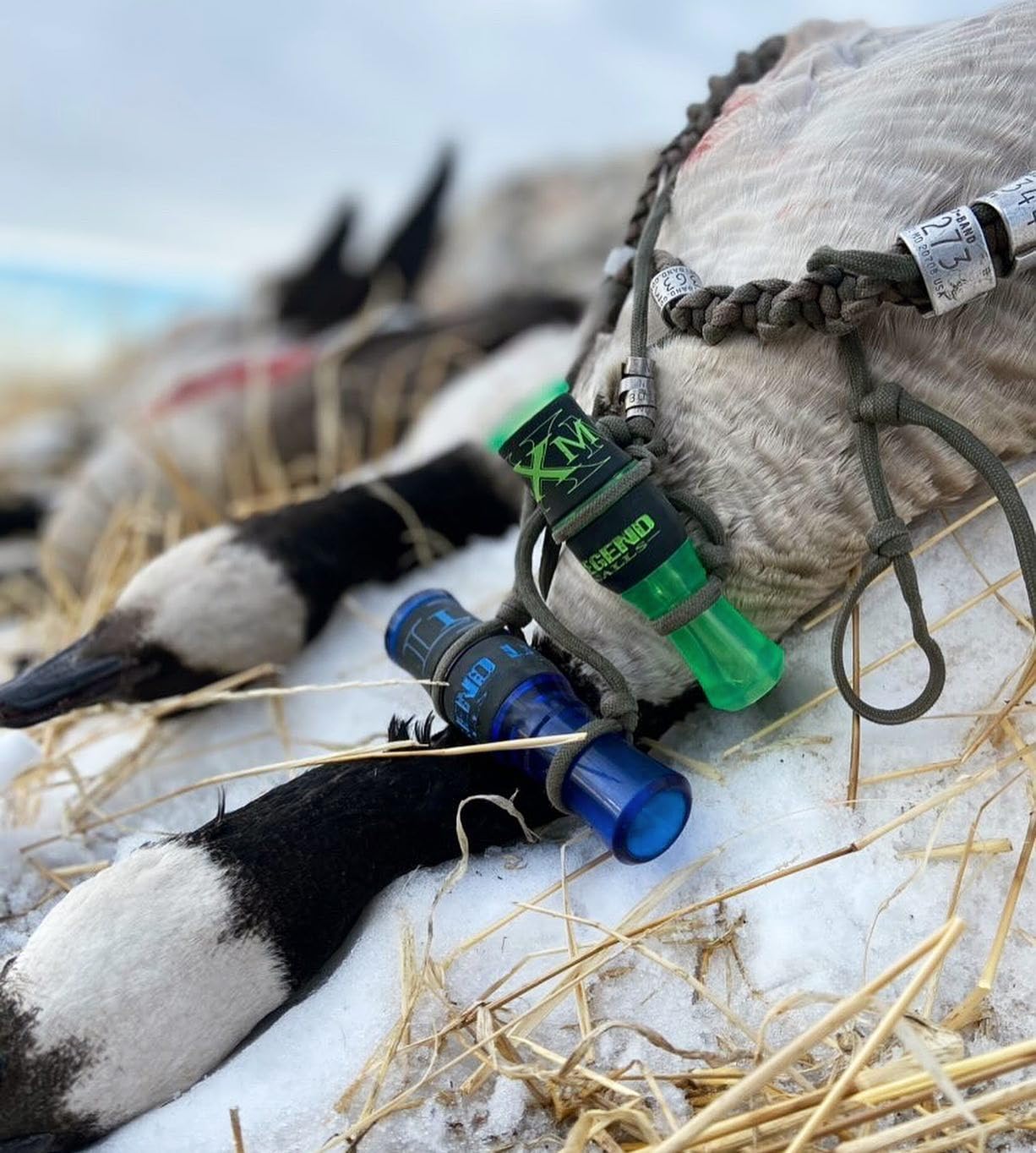 Legend Calls LXC Blue Canada Goose Call, Insulating Band Technology