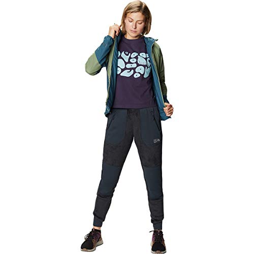 Mountain Hardwear Women's Standard Polartec High Loft Pant, Dark Storm, Medium x Regular