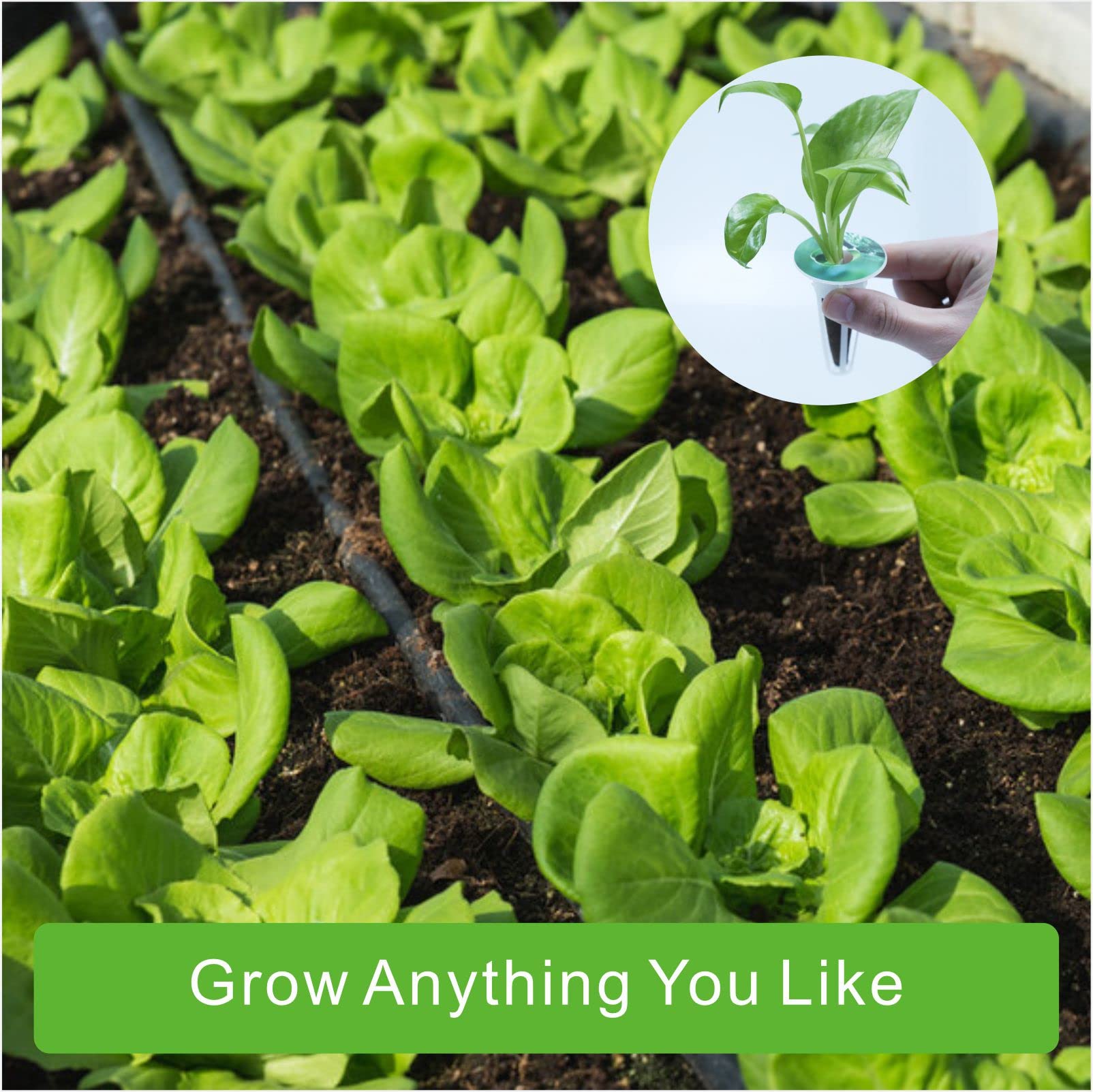 XFVFXZZ 121 Pcs Seed Pods Kit Compatible with Aerogarden, Suitable for Hydroponics Growing System for a Variety of Plants, Outdoor and Indoor Hydroponics Supplies