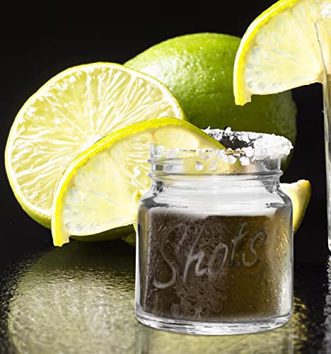 Palais Glassware Palais 'Shots' Mason Jar Shot Glasses - Mini Shot Glass Cups - Holds 2.4 Oz - Set of 6 (Clear)