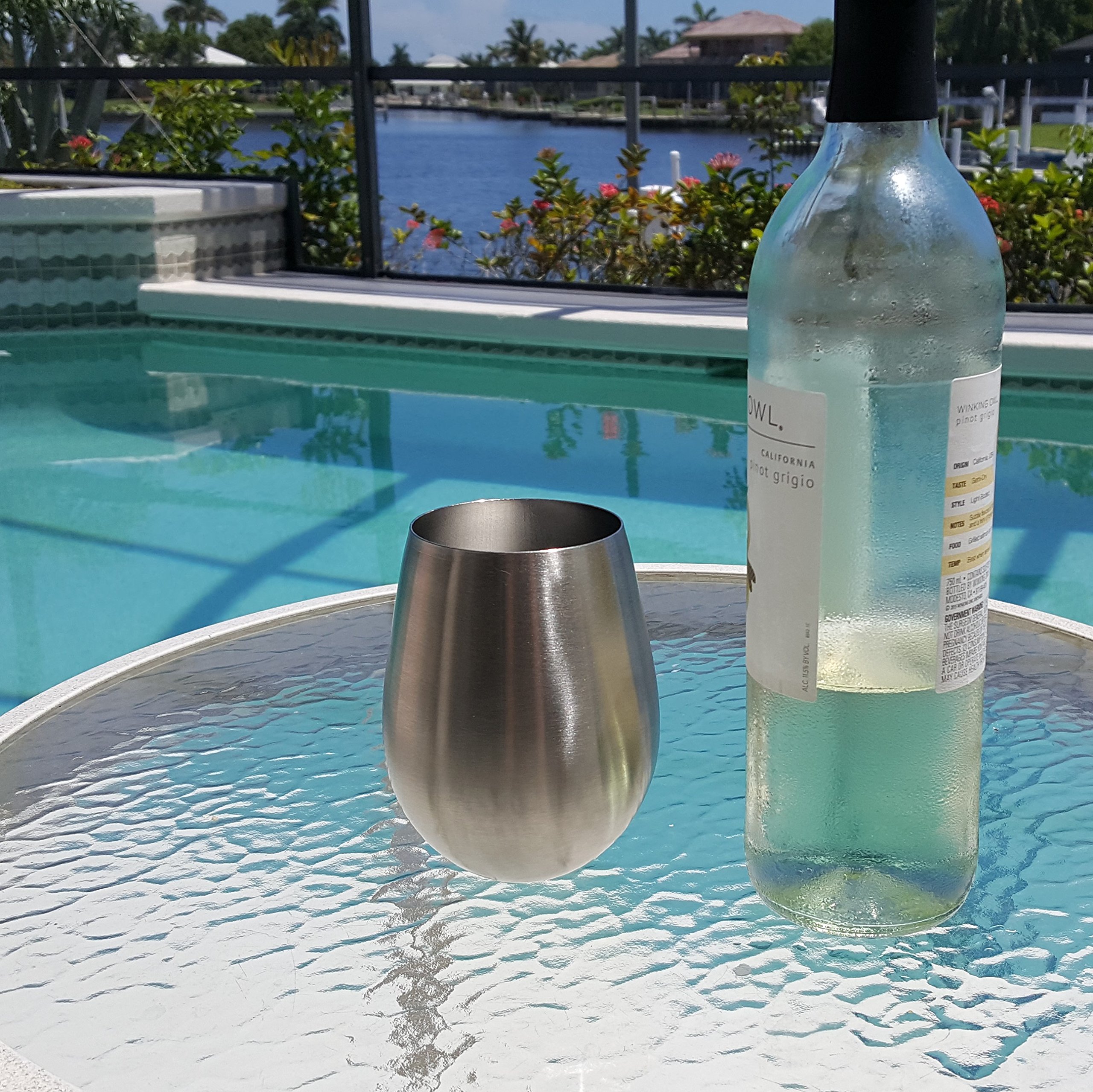 Palm City Products Stainless Steel Stemless Wine Glasses - 2 Piece Set