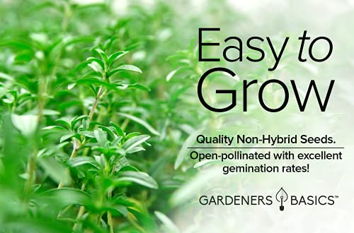 Summer Savory Seeds for Planting is A Heirloom, Non-GMO Herb Variety- Satureja Hortensis Herb Seeds Great for Indoor, Outdoor, Hydroponic Gardening by Gardeners Basics
