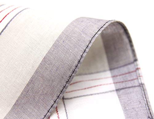 Men's Handkerchiefs,Classic design,100% Cotton Hankies,Pack of 6 (style 1)