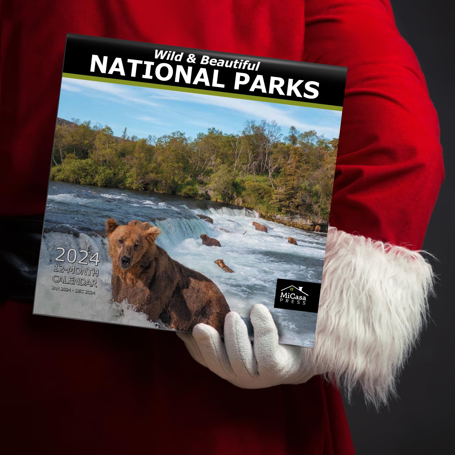 MICASA Wild & Beautiful National Parks 2024 Hangable Monthly Wall Calendar | 12" x 24" Open | Thick & Sturdy Paper | Giftable | Scenic Nature Travel | Explore Our Protected Lands