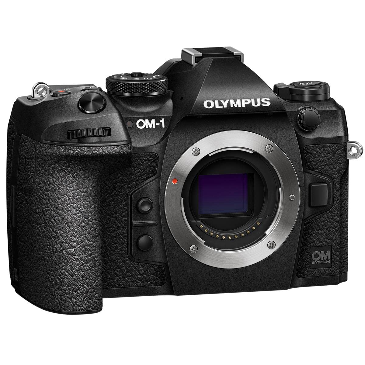 OM SYSTEM OM-1 Mirrorless Camera with M.Zuiko 90mm Macro Lens