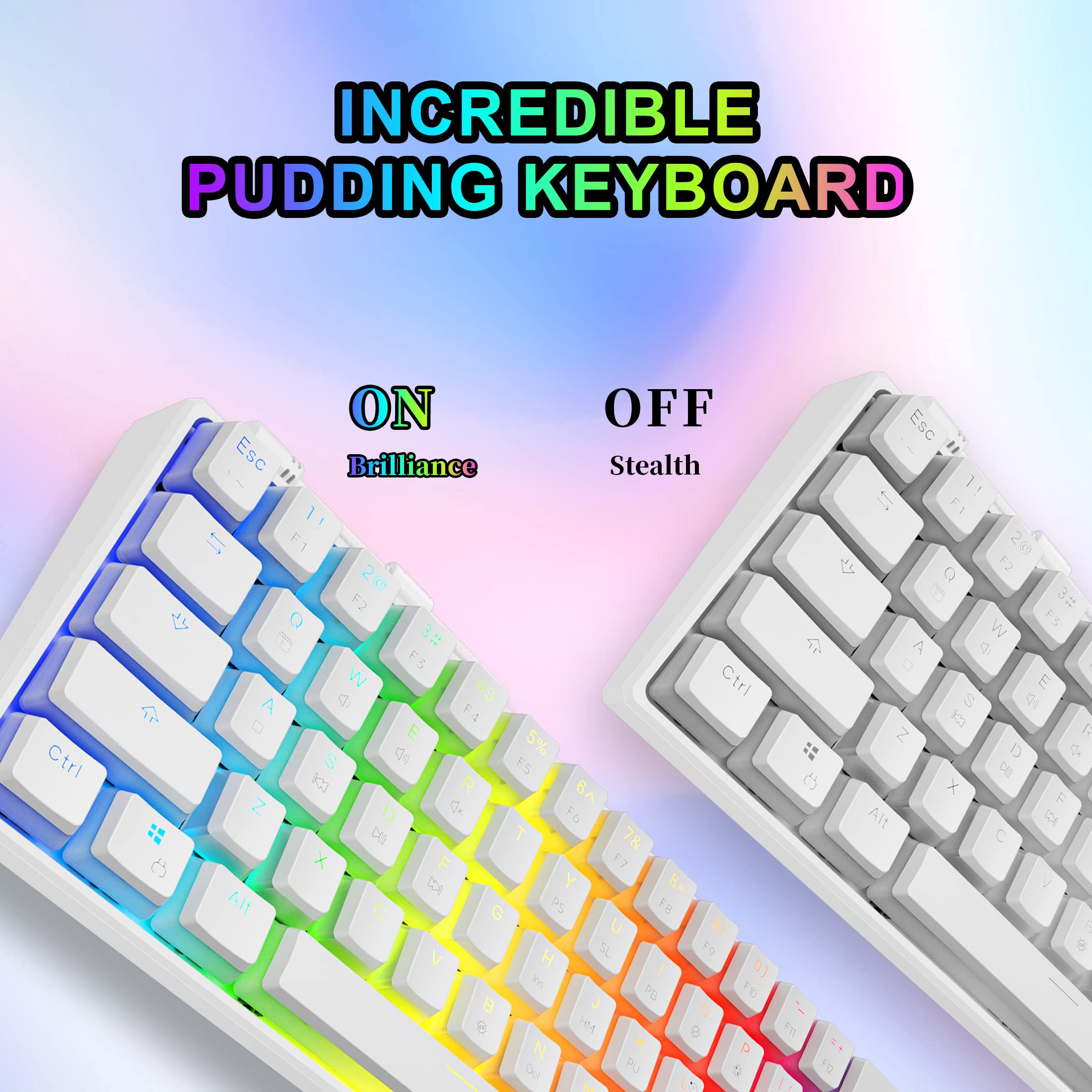 Tezarre RGB Backlit 60% Mechanical Gaming Keyboard, Mini Compact 61 Keys Wired Office PC Keyboard with with PBT Pudding Keycaps,Fully Programmable