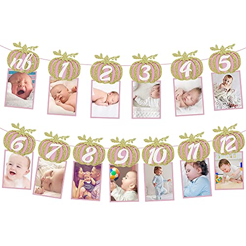 Pumpkin 1st Birthday Photo Banner, Glitter Pumpkin Bnaner Newborn to 12 Month Photo Display for Pumpkin Baby Shower Fall First Birthday Party Decor