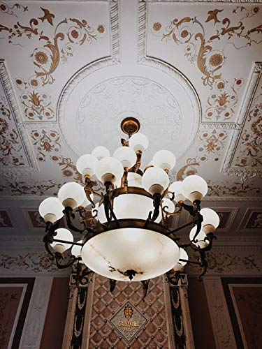 NLEHB G9 LED Bulb 5W (40W Halogen Equivalent), 400LM, Daylight White (5000K), G9 Base, Not Dimmable, G9 Daylight White Bulbs for Home Lighting (Pack of 6)