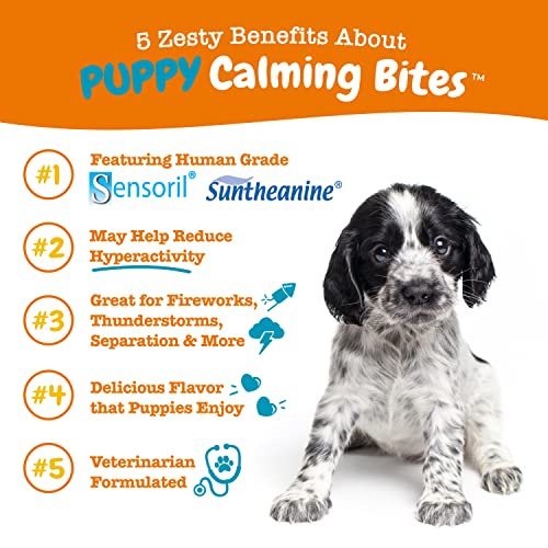 Zesty Paws Calming Chews for Dogs - Composure & Relaxation for Everyday Stress & Separation - with Ashwagandha, Organic Chamomile, L-Theanine & L-Tryptophan β Turkey Puppy - 90 Count