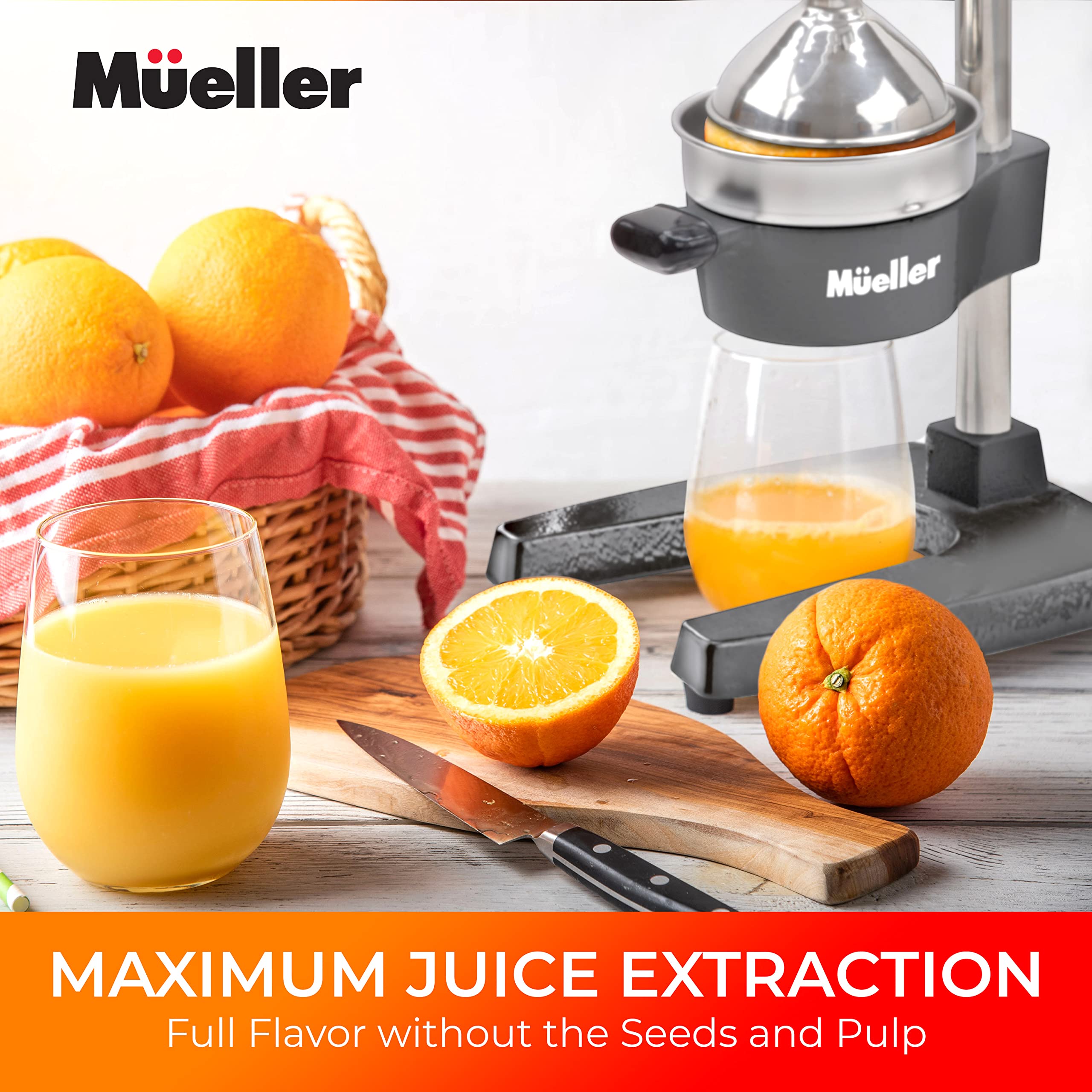 Mueller Professional Citrus Juicer - Manual Citrus Press and Orange Squeezer - Metal Lemon Squeezer - Premium Quality Heavy Duty Manual Orange Juicer and Lime Squeezer Press Stand, Gray