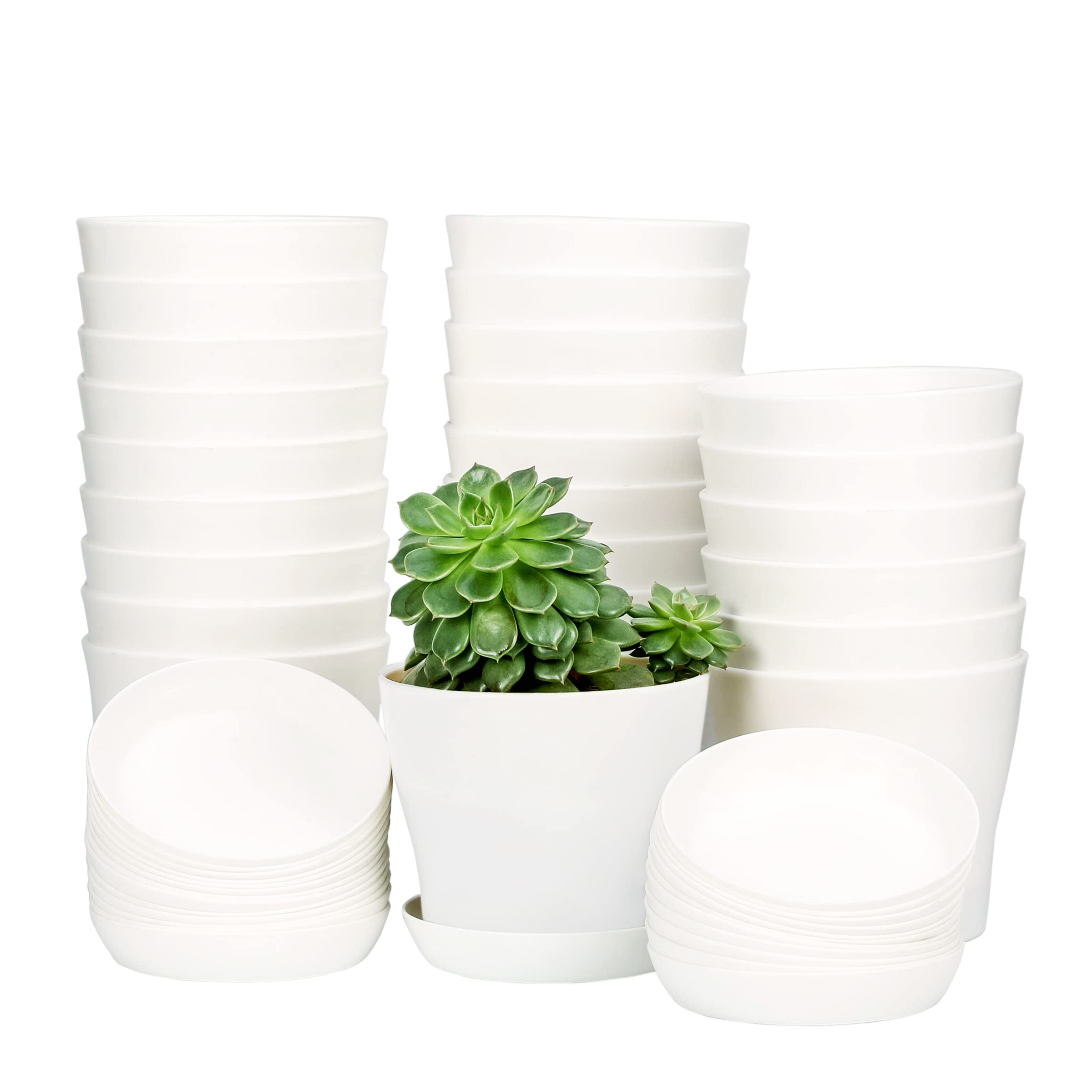 TDHDIKE 25 Pcs Plastic Planters Indoor Flower Plant Pots, Mini Flower Seedlings Nursery Pot with Pallet, Modern Decorative Gardening Containers (White, 25)