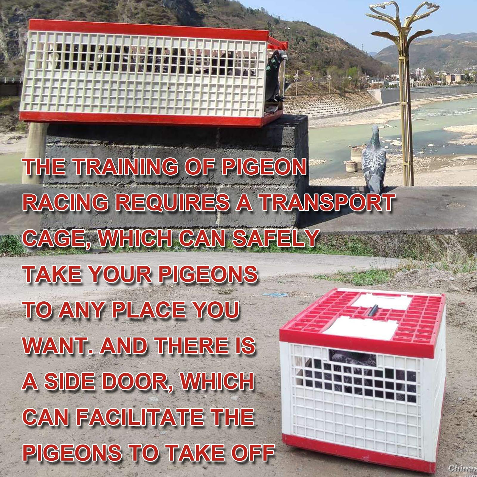Plastic Pigeon cage Portable Foldable Plastic Transportation Poultry Transportation Bird cage Hunting cage Coop 24×12×9in Chicken cage