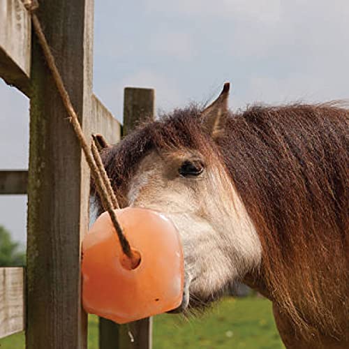 Yield Titan Himalayan Pink Salt 30 LB, Salt Licks for Animals Licking Block for Horses, Cows, Deer, and Other Livestock - Rope Included (8 Qty)