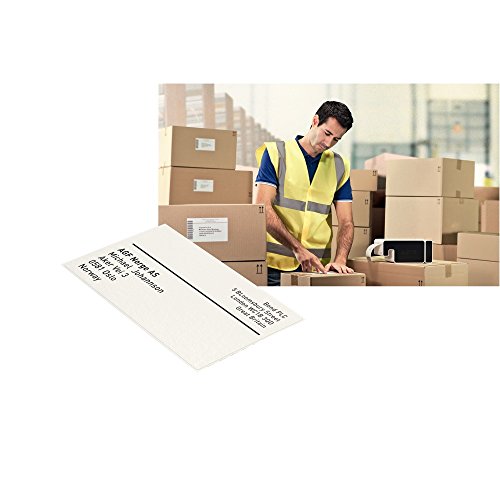 Leitz 70130001 Icon Intelligent Cut Paper Label Cartridge, Large Shipping Label Size, 225 Labels, 102 mm x 59 mm - White