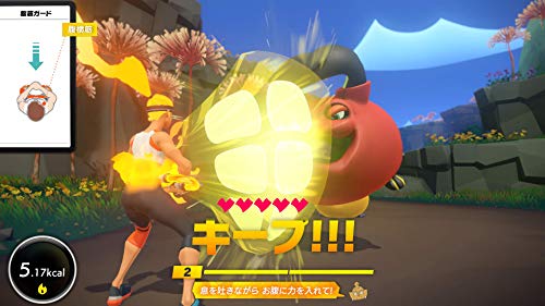 Nintendo Ring fit Adventure -Switch