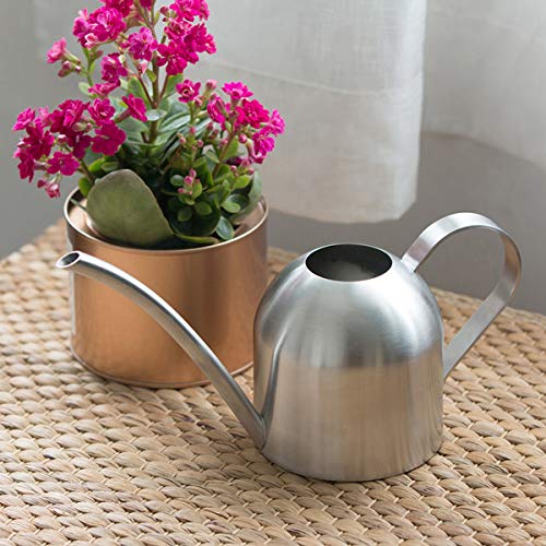 YISSN Small Watering Can for Indoor Office Stainless Steel Long Spout, 15oz/450ml