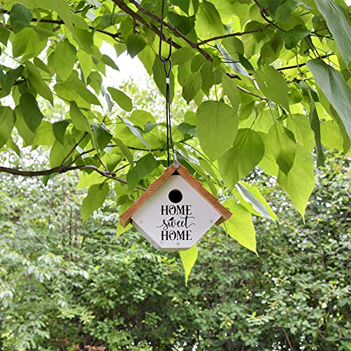 Wild Wings WWLH2-DECO Farmhouse Wren House, White