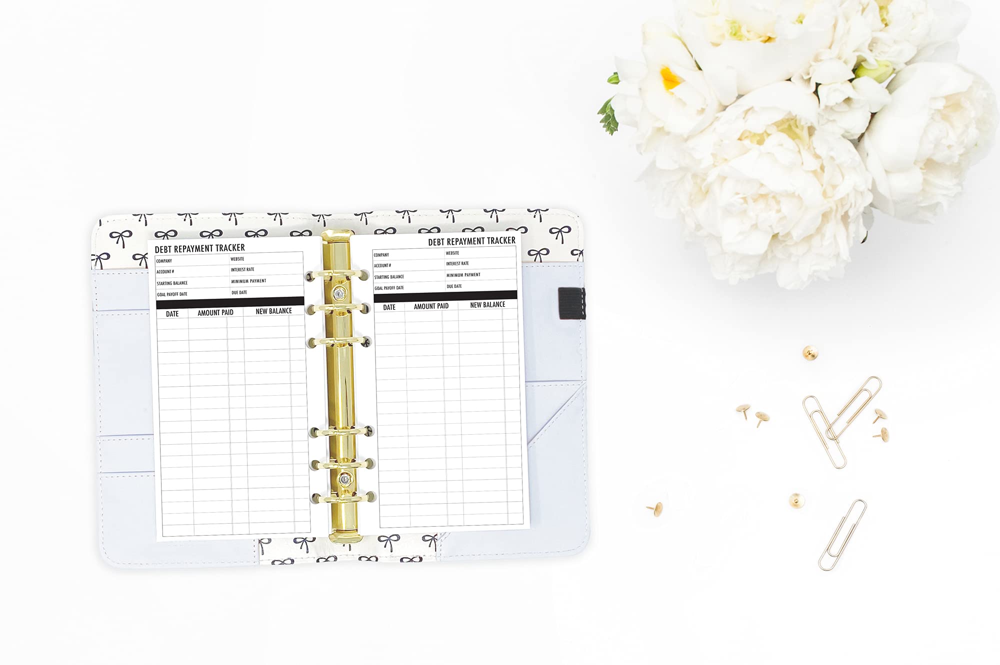 Personal Debt Repayment Planner Insert Refill, 3.74 x 6.73 inches, Pre-Punched for 6-Rings to Fit Filofax, LV MM, Kikki K and Other Binders, 30 Sheets Per Pack