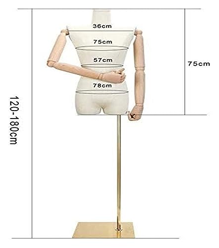 Mannequin Tailors Dummy Torso Dress Form Torso Adjustable Female Tailors Dummy Dressmakers Dummies Display Bust Detachable for Clothing Jewelry Display Stand