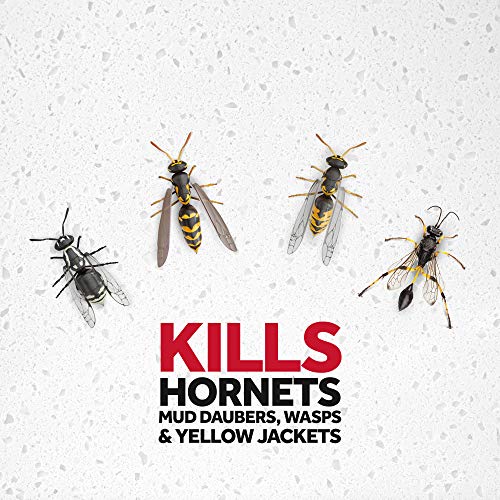 Raid Wasp and Hornet Killer Spray, Kills the entire nest, Kills Paper Wasps, Yellow Jackets, Mud Daubers and more, 14 oz