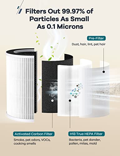 WELOV P100 / P100 Pro Air Purifier Replacement Filter, 3-in-1 H13 True HEPA and High-Efficiency Activated Carbon Filter for Pet Dander Hair Pollen Dust Mite Smoke Kitchen Odor