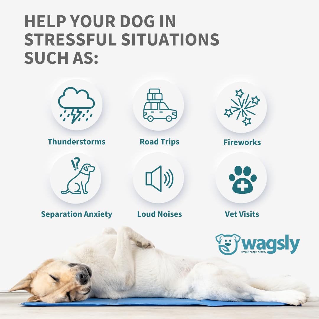 Wagsly Chill: Calming Chews for Dogs | Thiamine, Tryptophan, Lemon Balm, Green Tea Extract β 100 Count for Balanced Mood & Relaxation | Natural Calming Treats for Dogs