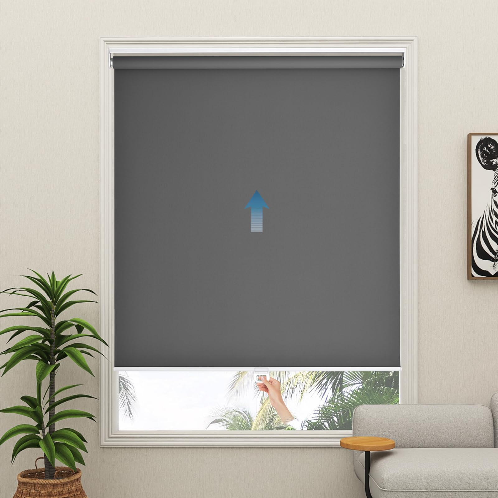 Lululand Window Roller Shades Cordless 100% Blackout(23" W x 72" H, Grey),with Spring System to Protect Privacy and Maintain Room Temperature.Easy to Install, Suitable for Home, Office