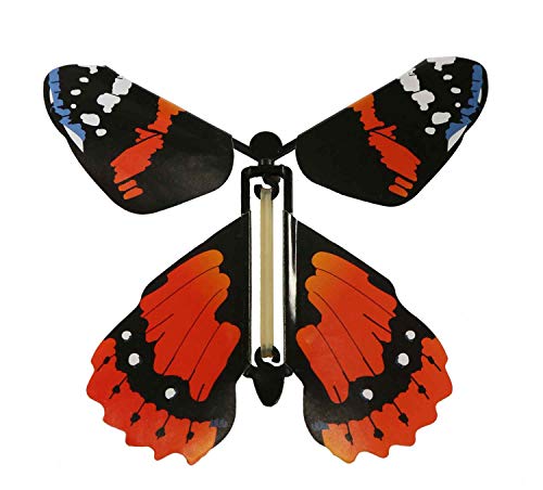 Mini Butterfly Garden Gift Set Two Live Cups of Caterpillars โ Dual Lens Magnifier โ Butterfly Life Cycle Stages