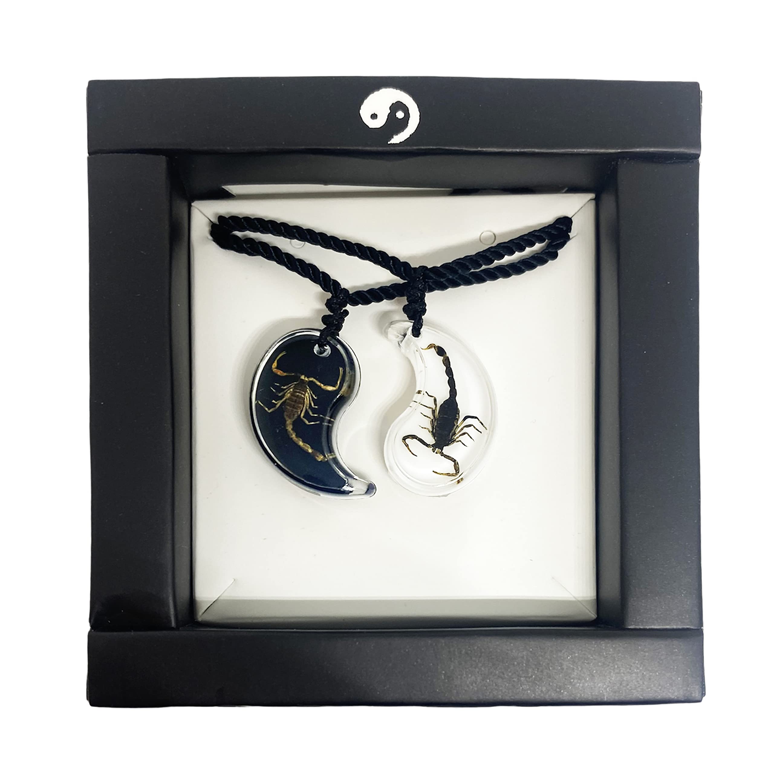 Sonoran Souvenirs Genuine Scorpion Lucite Casted 2 Matching Yin Yang Necklace Set Anniversary Valentines Gift