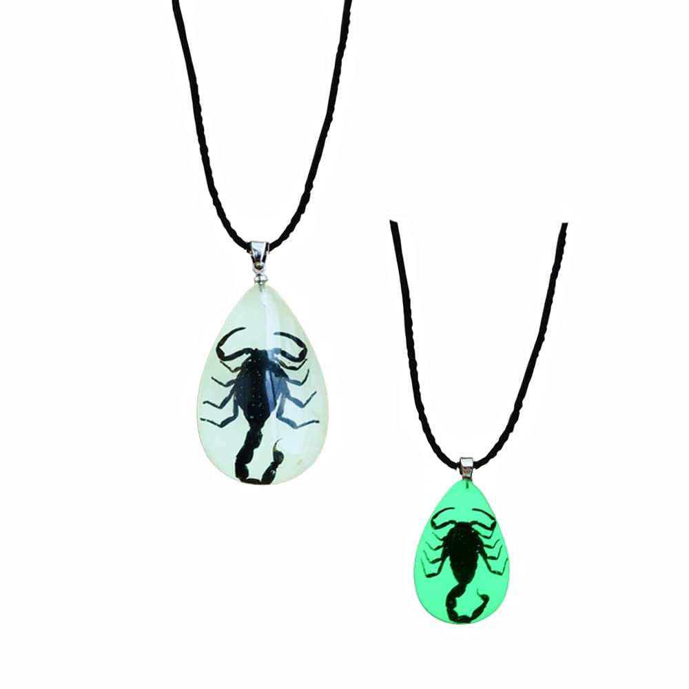 PTGMH Glow in the Dark Necklace Black Scorpion Amber Resin Adjustable Necklace Pendent with Insect Sample Inside Birthday Gift for Lover Friends (Black(black Scorpion))