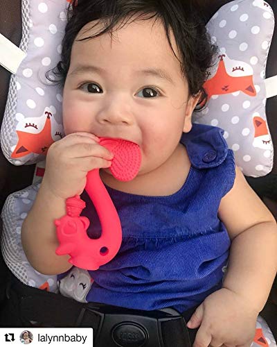 Mombella Scrat The Squirrel Silicone Baby Chew Toy for 6M+ Babies Whose Teeth Already can be SEEN/ERUPTED,Red