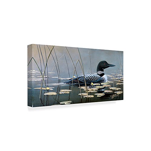 Loon In Reeds by Wilhelm Goebel, 12x24-Inch